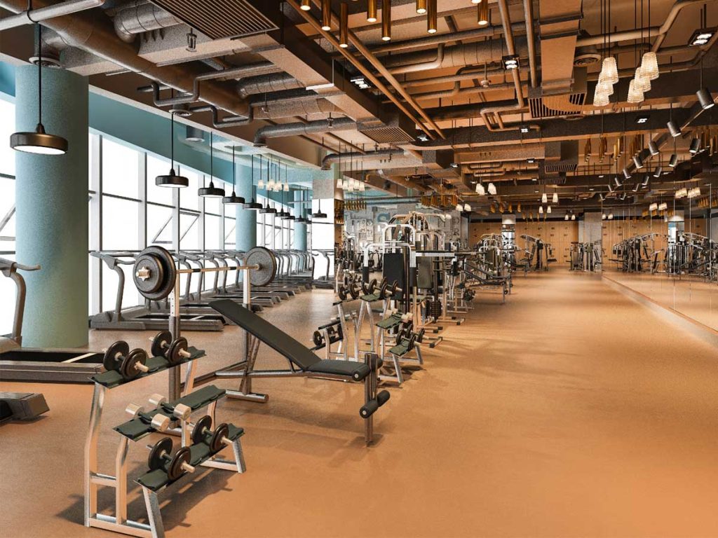 Gym Essentials The Unveiling of Must-Have Equipment - FLYBY Global